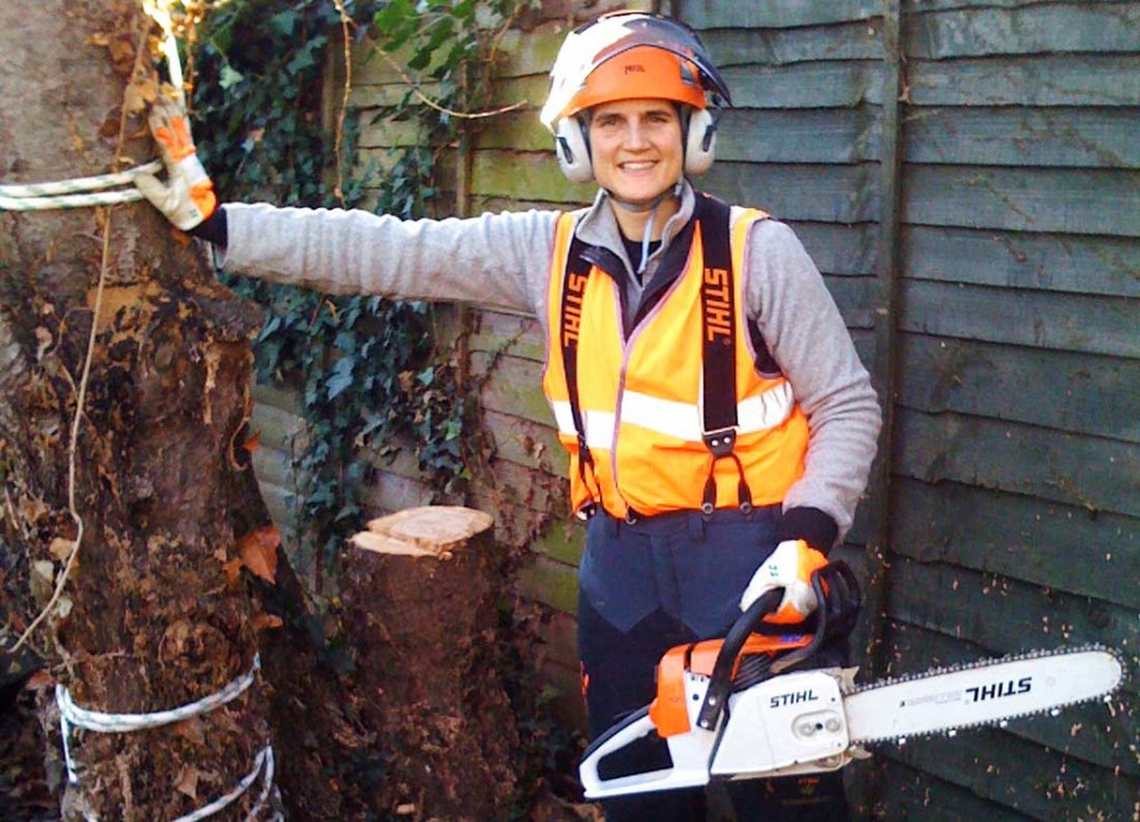 Isleworth Tree Surgeon | Tree surgery | Sykes Tree Care